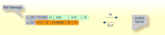 IMS MPP Message Interface (IMS Connect)